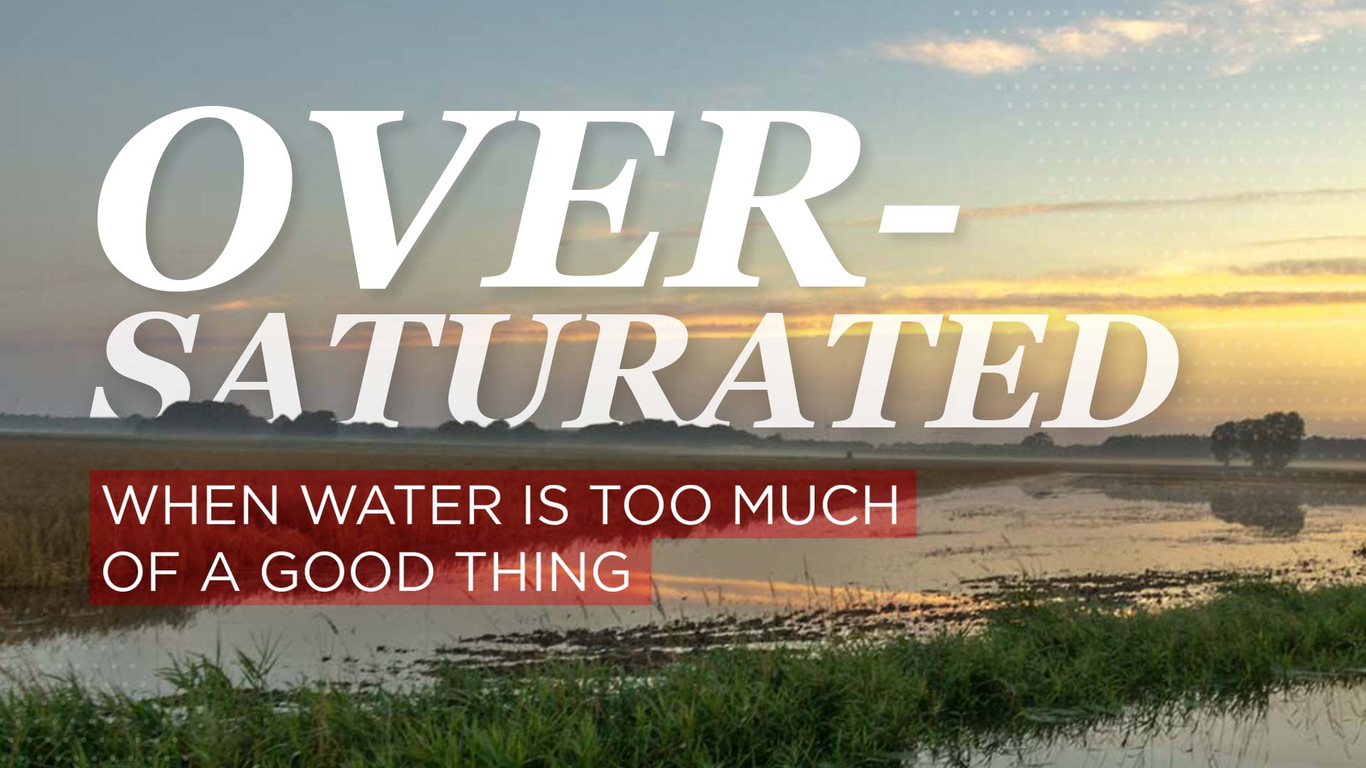 Oversaturated - Fratco